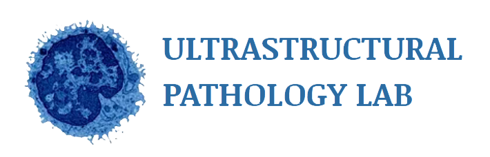 ultra - National Institute of Pathology Victor Babeş - Bucharest